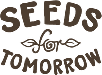 Affirmation Cards - seeds for tomorrow