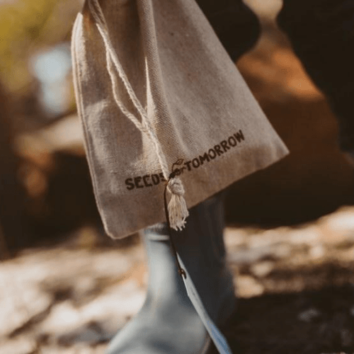 Affirmation Cards - seeds for tomorrow